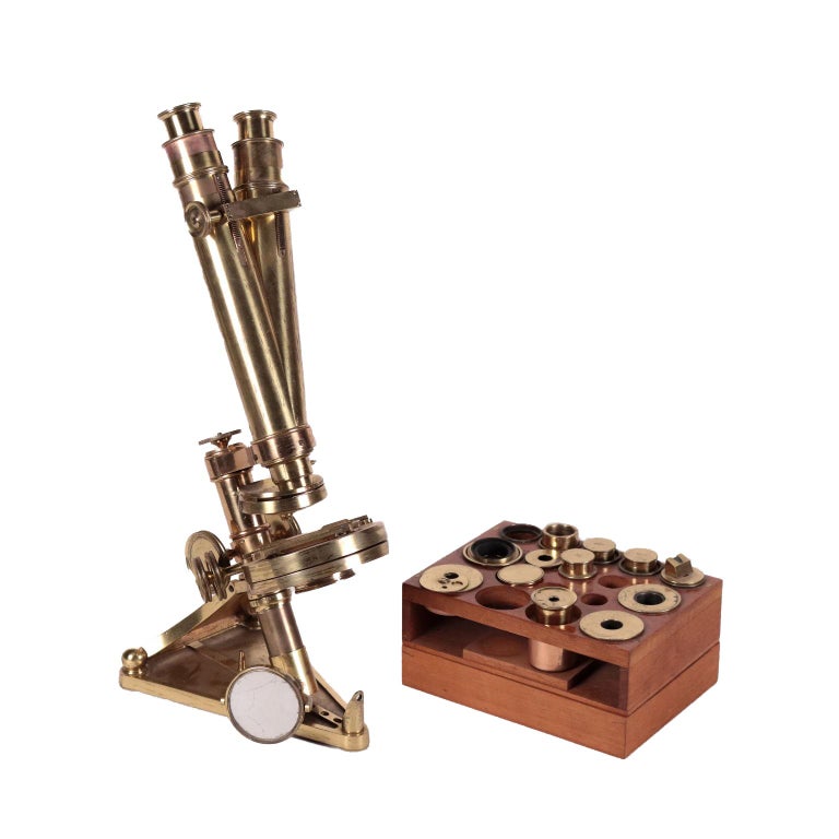 Compound Binocular Microscope R and J Beck Brass Mahogany London ...