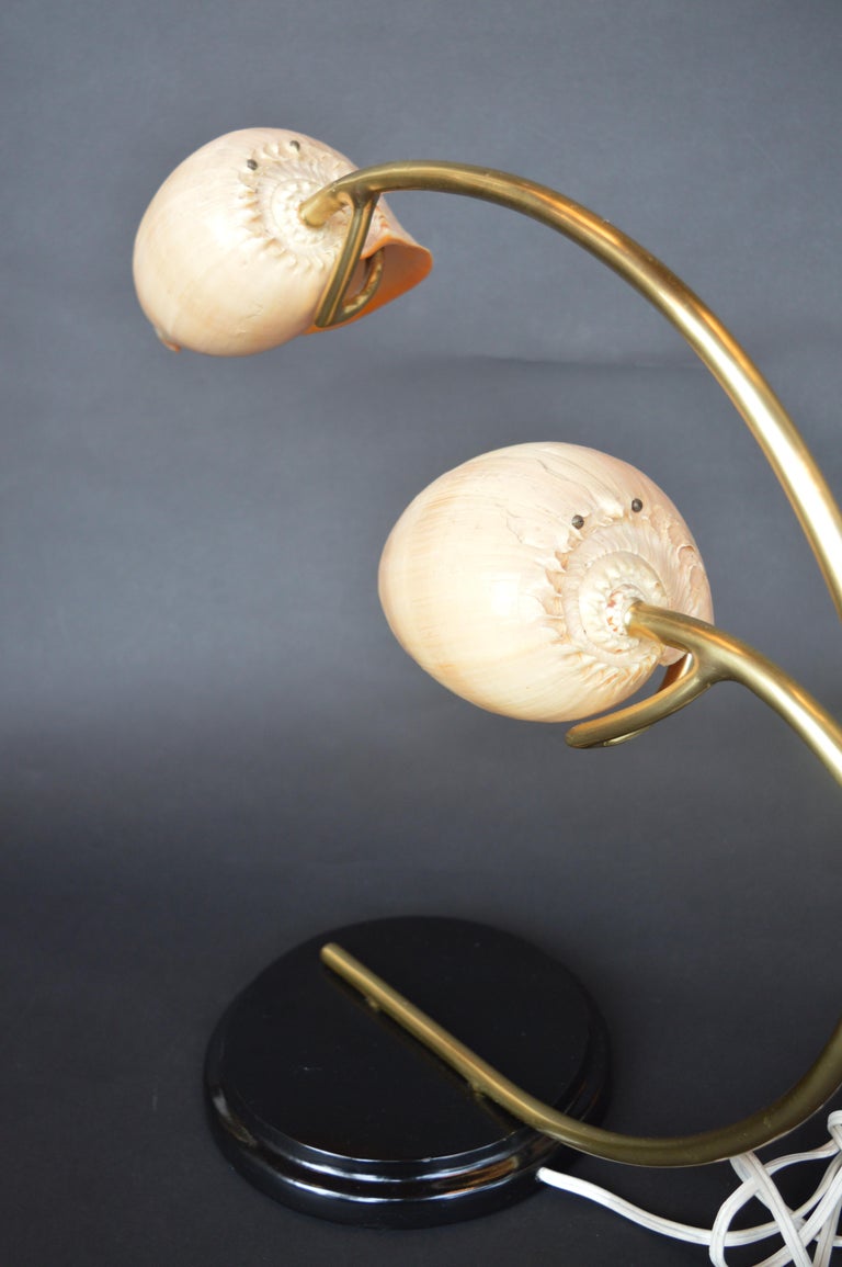 Conch Shell Table Lamp For Sale at 1stDibs