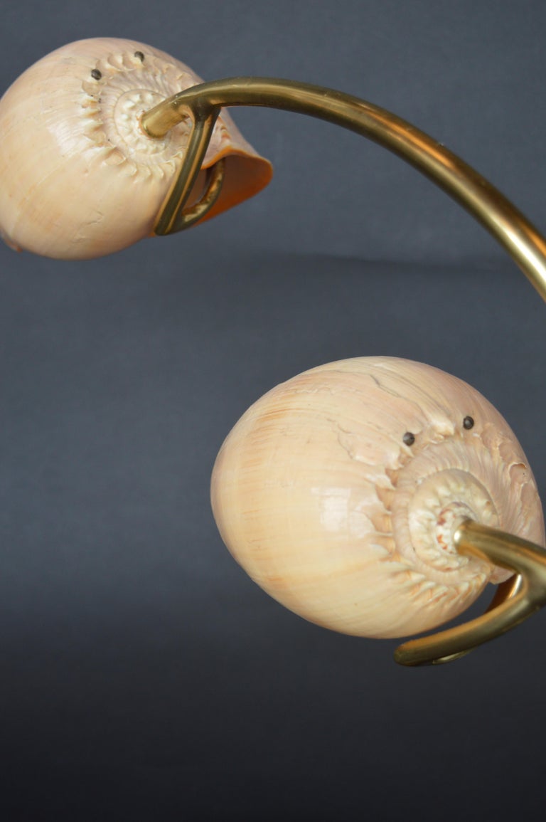 Conch Shell Table Lamp For Sale at 1stDibs