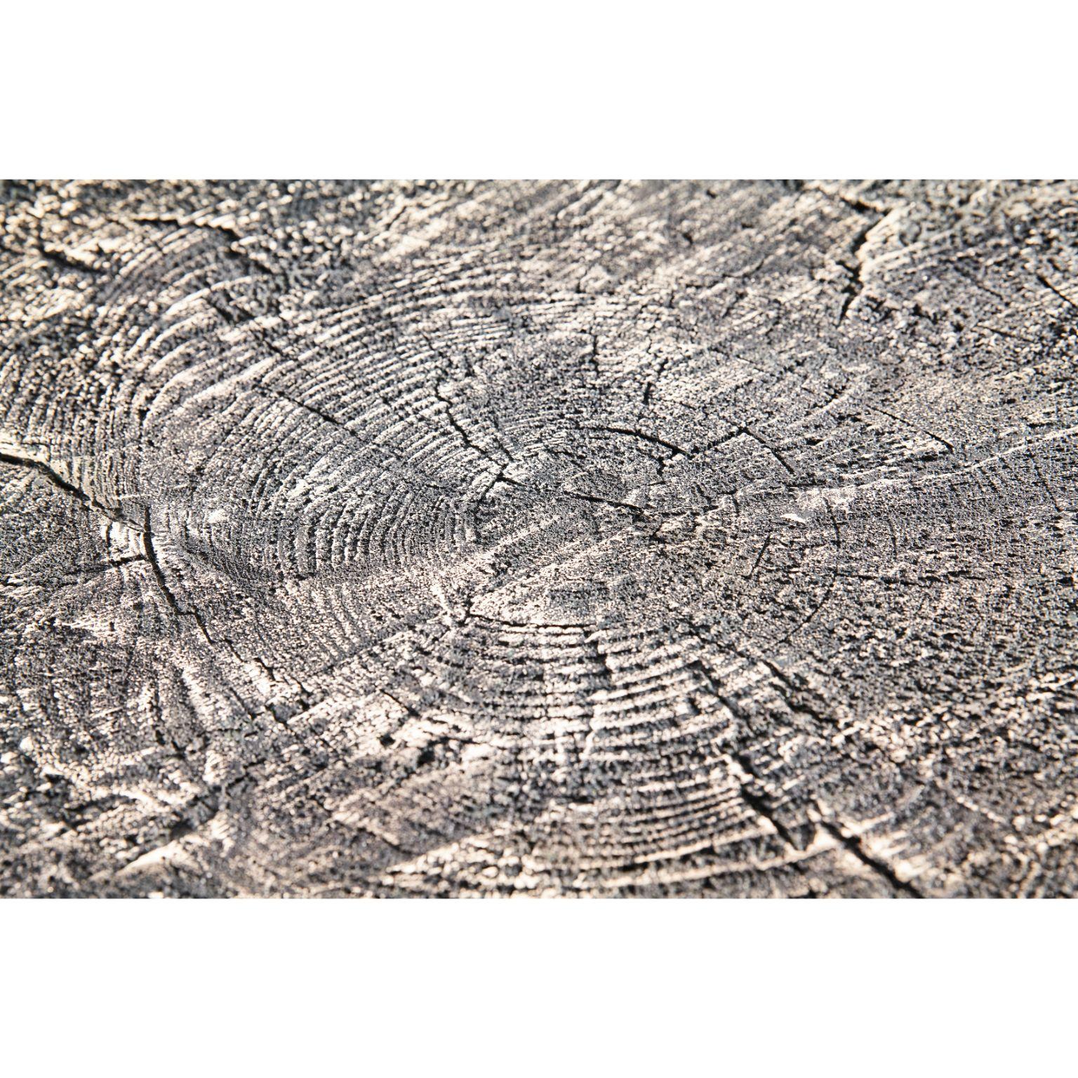 Conifera Bronze Coffee Table by Irene Ganser Ulreich For Sale at 1stDibs