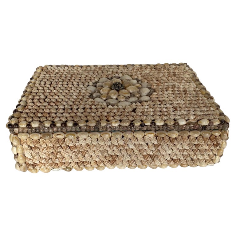 Contemporary American Modern Conch and Cowrie Seashell Jewelry Box For ...