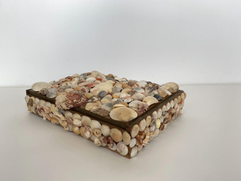 Contemporary American Modern Large Seashell Box For Sale at 1stDibs