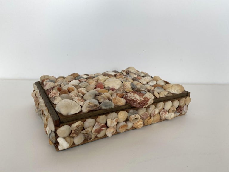 Contemporary American Modern Large Seashell Box For Sale at 1stDibs