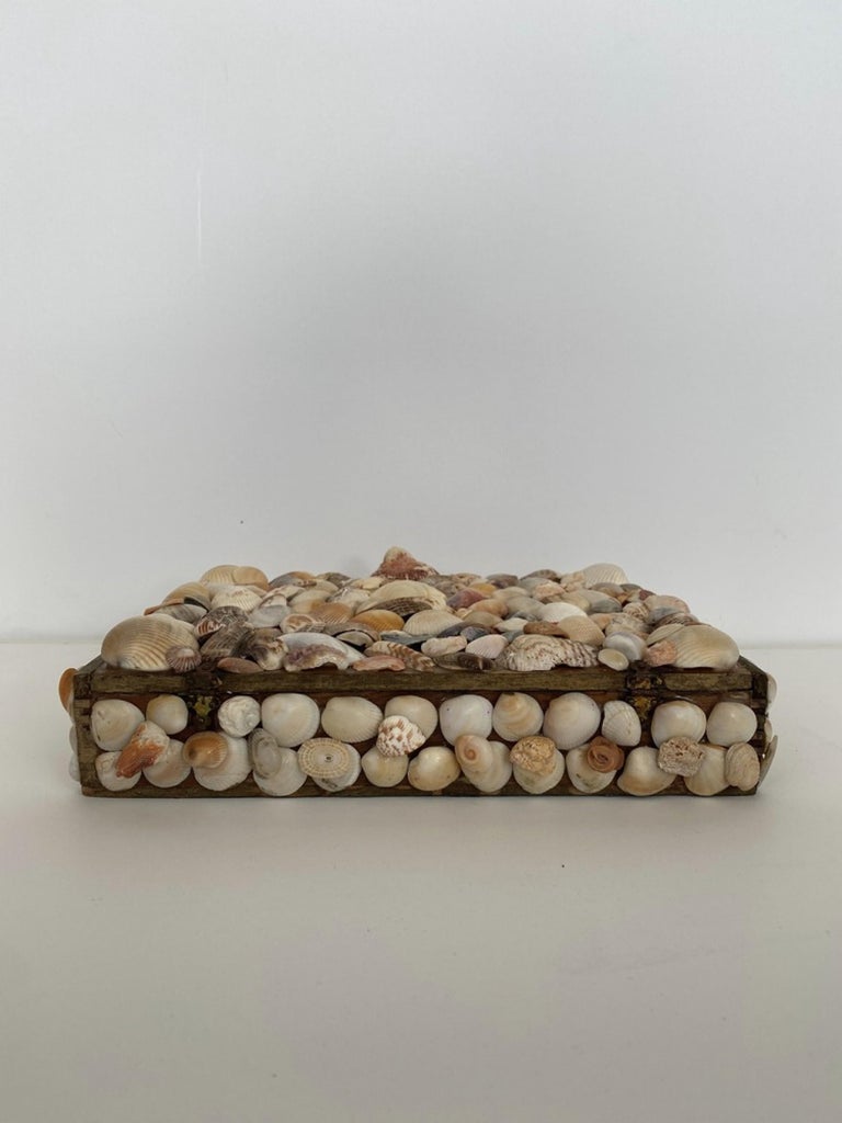 Contemporary American Modern Large Seashell Box For Sale at 1stDibs