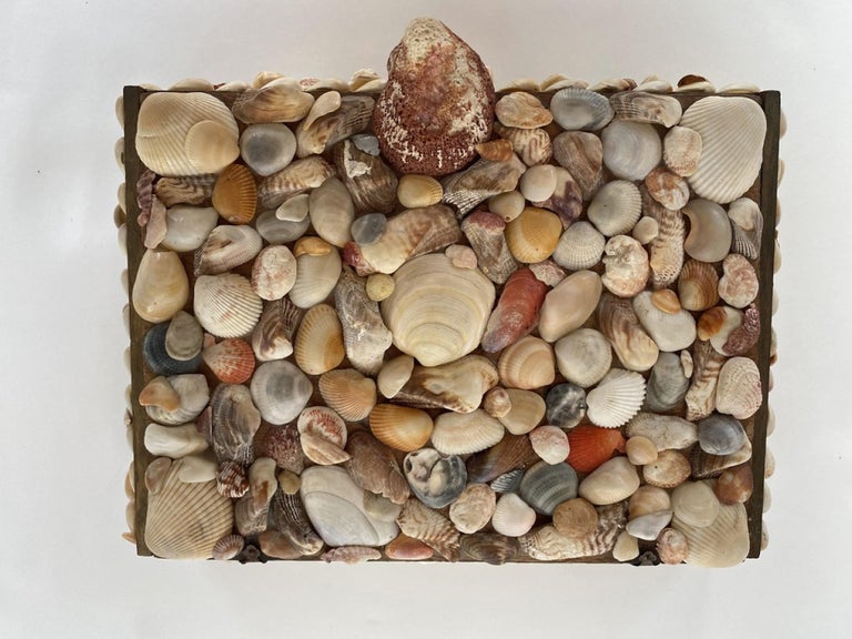 Contemporary American Modern Large Seashell Box For Sale at 1stDibs