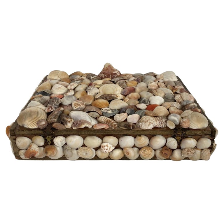 Contemporary American Modern Large Seashell Box For Sale at 1stDibs