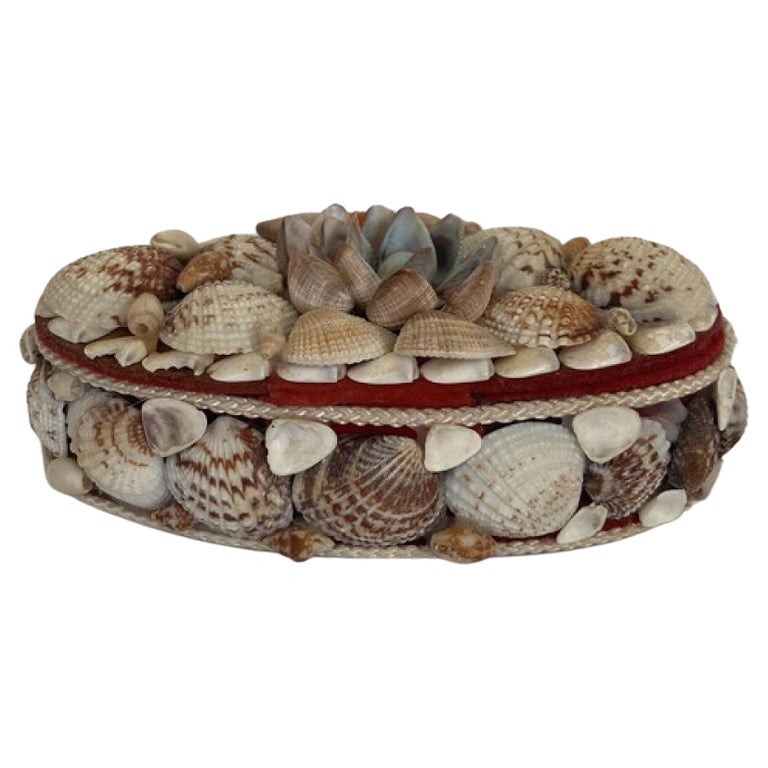 Contemporary American Modern Oval Seashell Jewelry Box For Sale at 1stDibs