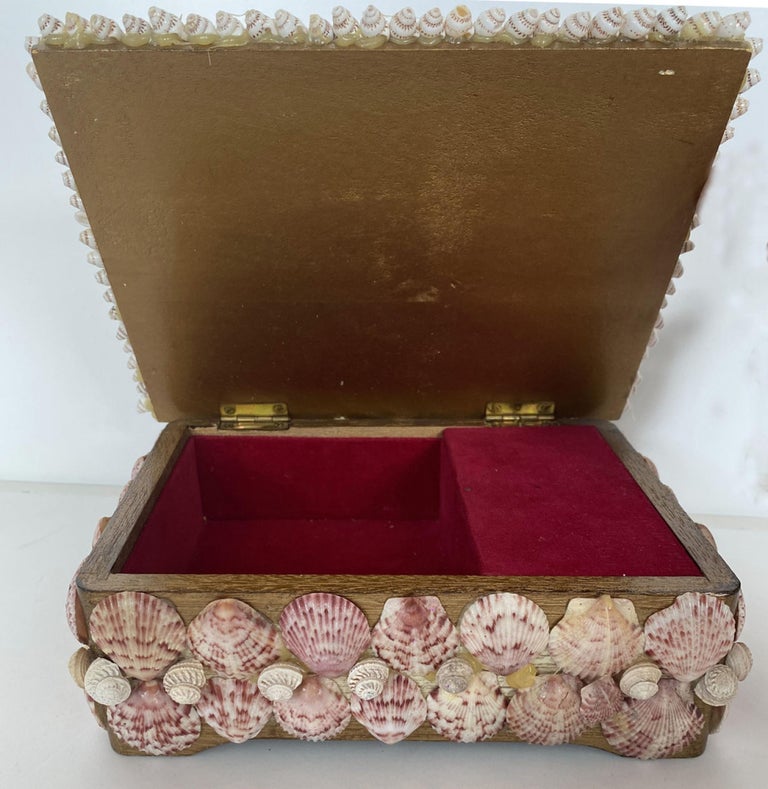 Contemporary American Modern Seashell Music Box / Jewelry Box For Sale ...