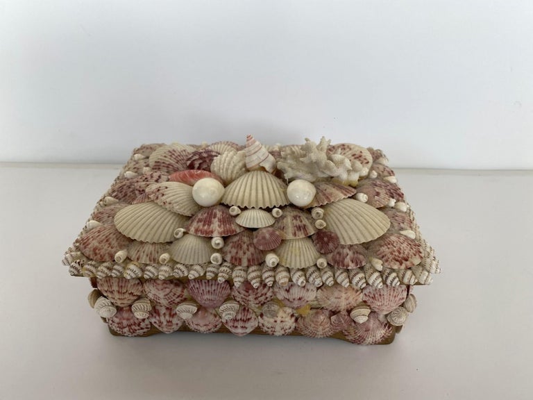Contemporary American Modern Seashell Music Box / Jewelry Box For Sale ...