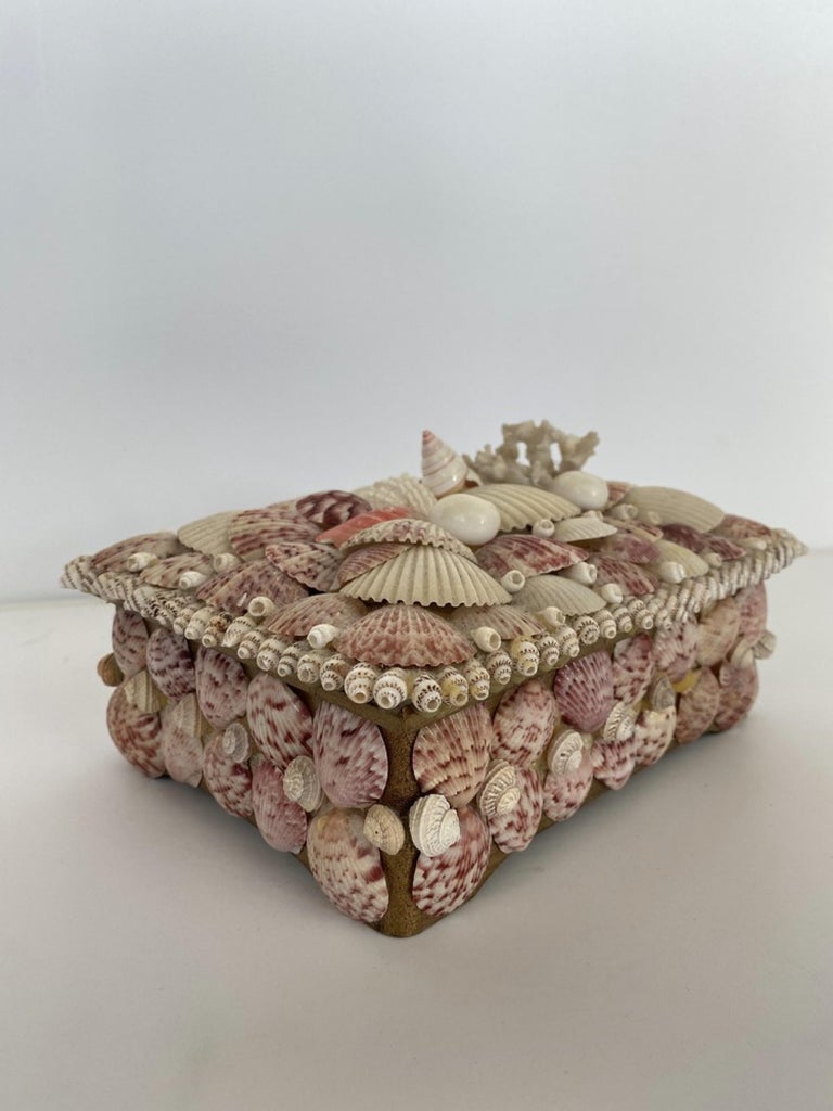 Contemporary American Modern Seashell Music Box / Jewelry Box For Sale ...