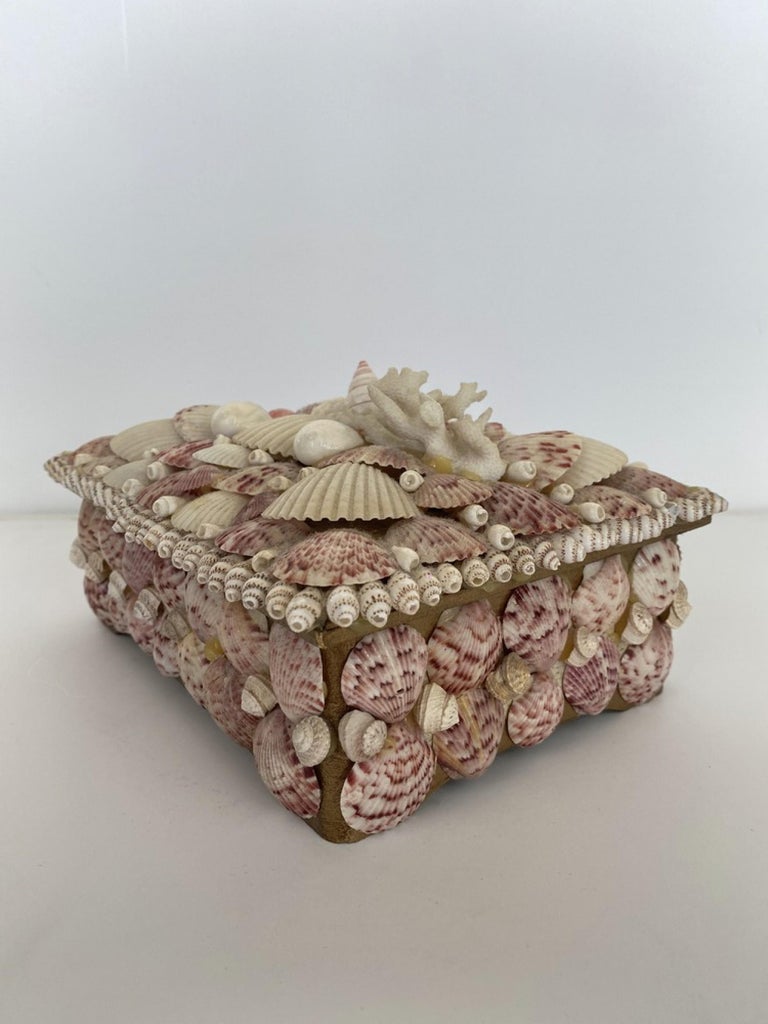 Contemporary American Modern Seashell Music Box / Jewelry Box For Sale ...