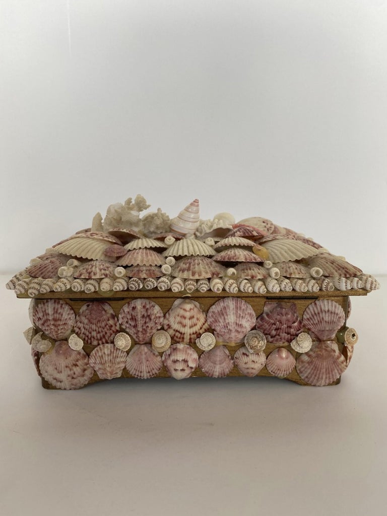 Contemporary American Modern Seashell Music Box / Jewelry Box For Sale ...