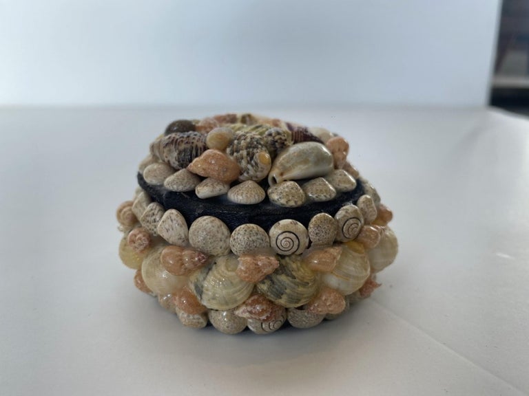 Contemporary American Modern Small Circular Seashell Jewelry Box For ...