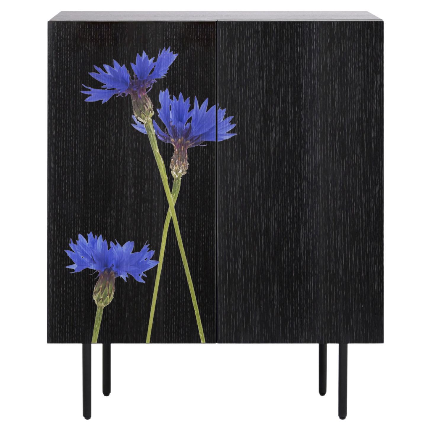 Edra Scrigno Cabinet in Colored Methacrylate For Sale at 1stDibs