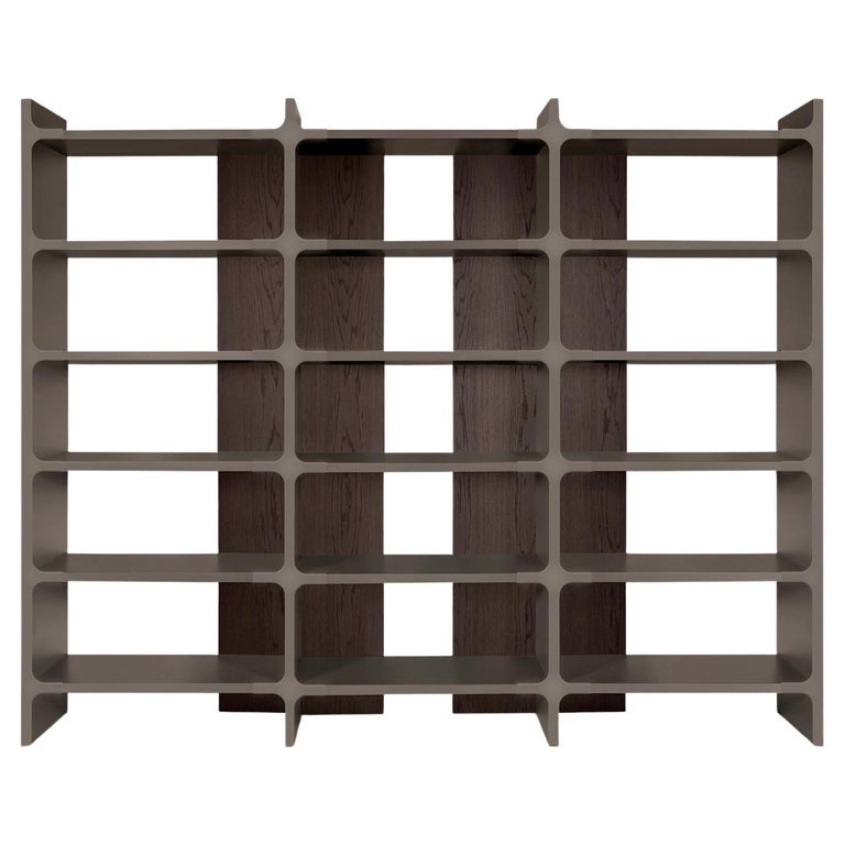 Contemporary Bookcase Lacquered, Veneer Oak/Walnut For Sale at 1stDibs