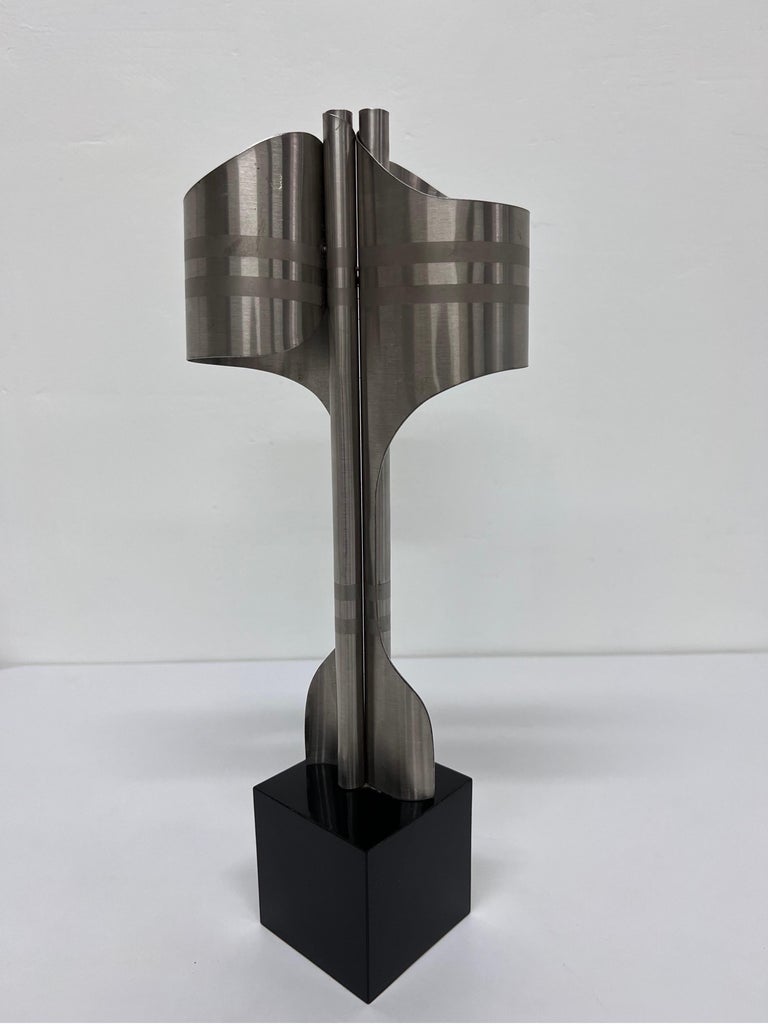 Contemporary Brazilian Metal Flag Sculpture, 2012 For Sale at 1stDibs