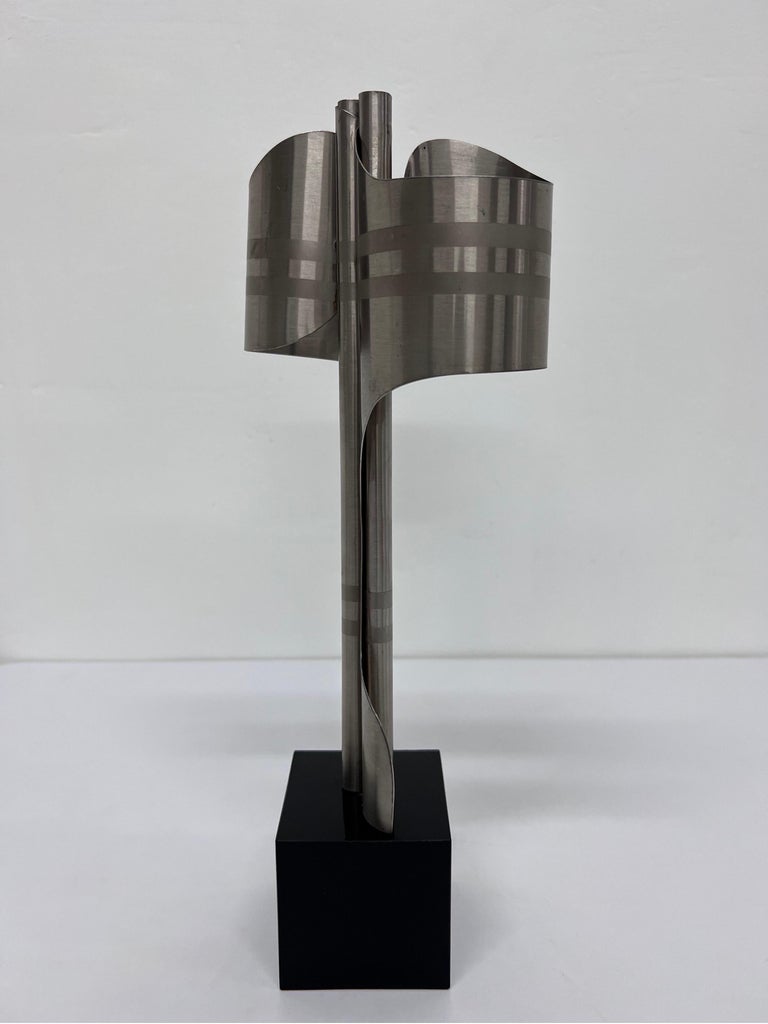 Contemporary Brazilian Metal Flag Sculpture, 2012 For Sale at 1stDibs