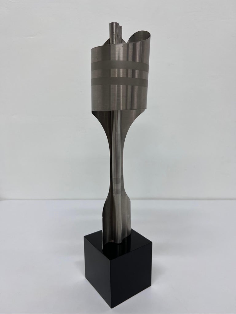 Contemporary Brazilian Metal Flag Sculpture, 2012 For Sale at 1stDibs