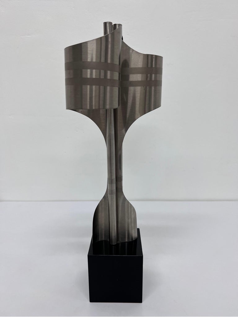 Contemporary Brazilian Metal Flag Sculpture, 2012 For Sale at 1stDibs