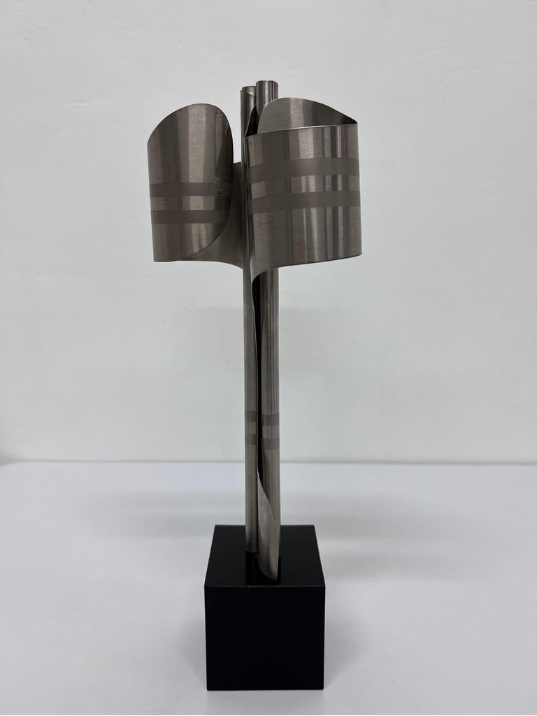 Contemporary Brazilian Metal Flag Sculpture, 2012 For Sale at 1stDibs