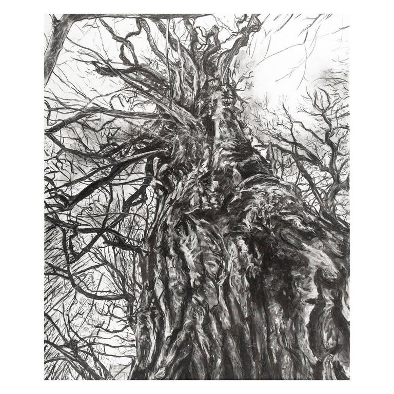 Contemporary Charcoal artwork Tom De Doncker For Sale at 1stDibs