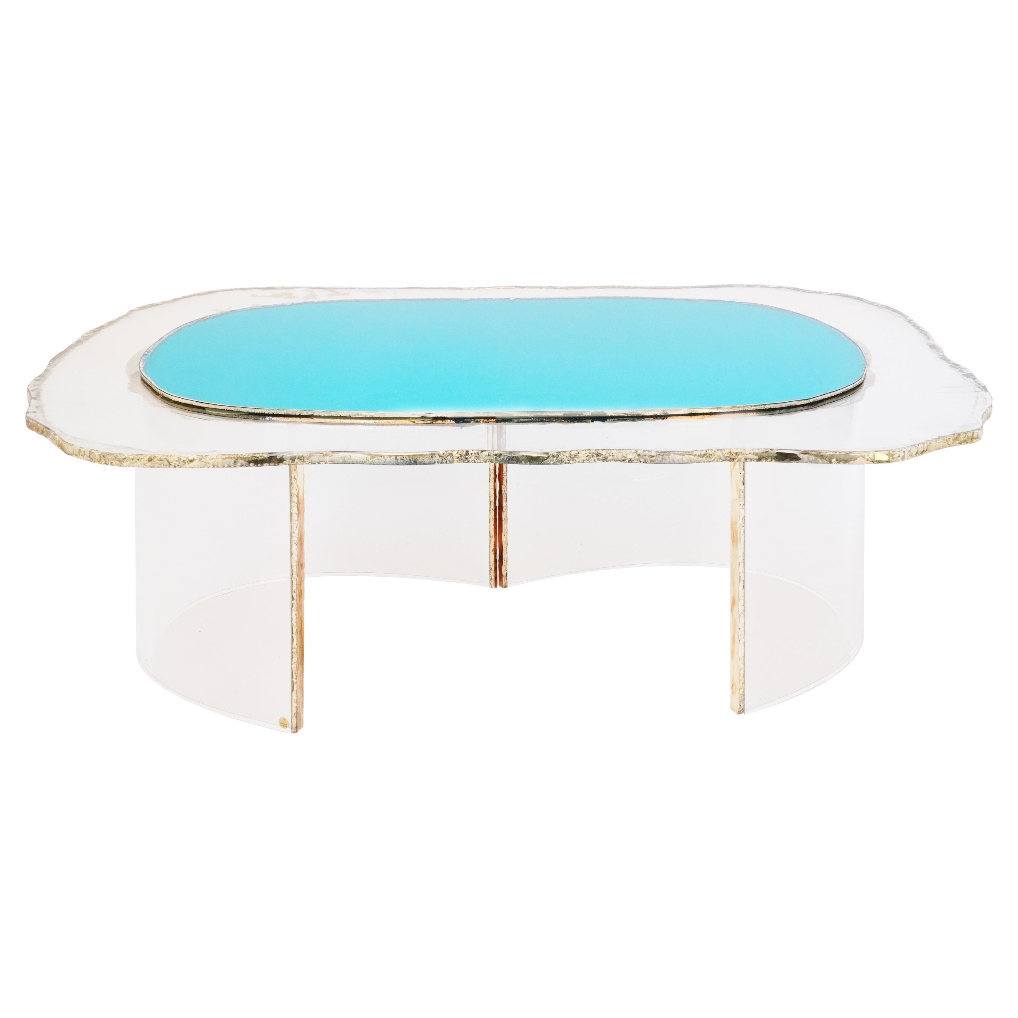 Transparent Acrylic Coffee Table with Multi-Purpose Sub-Surface ...