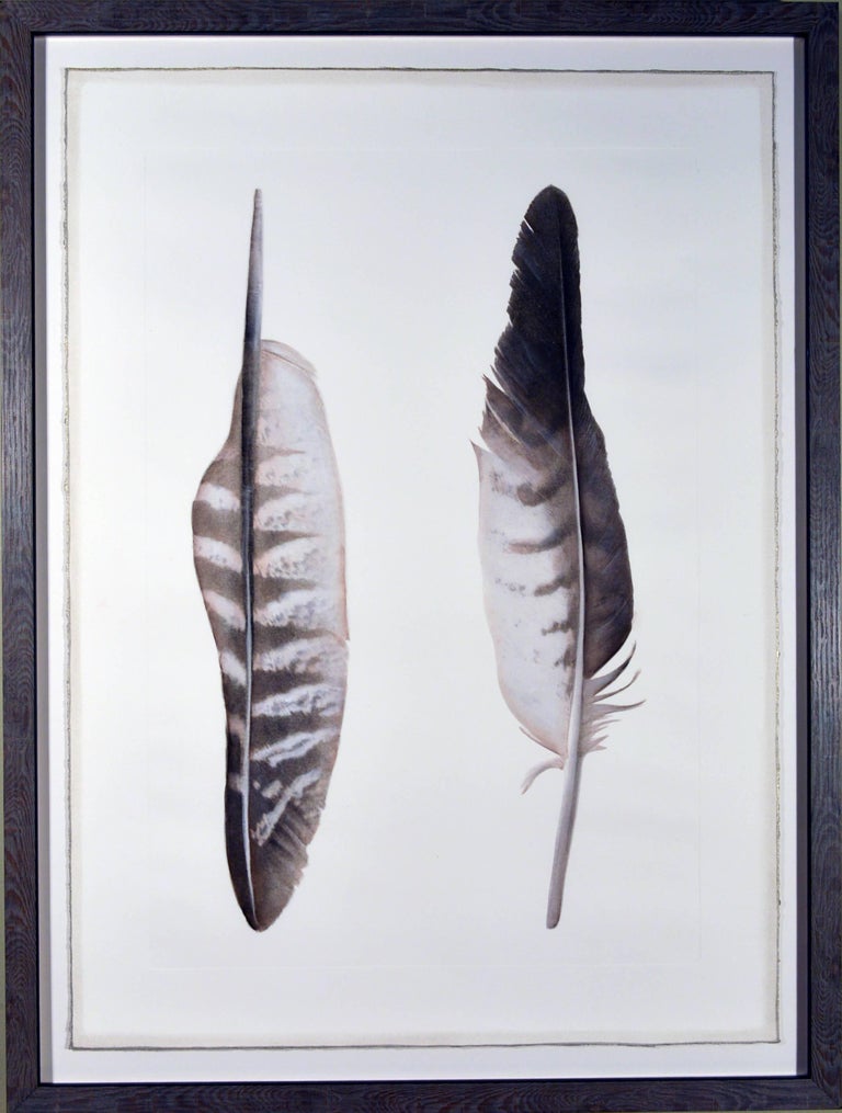Contemporary Engravings of Feathers, Pair, Milan, Italy at 1stDibs