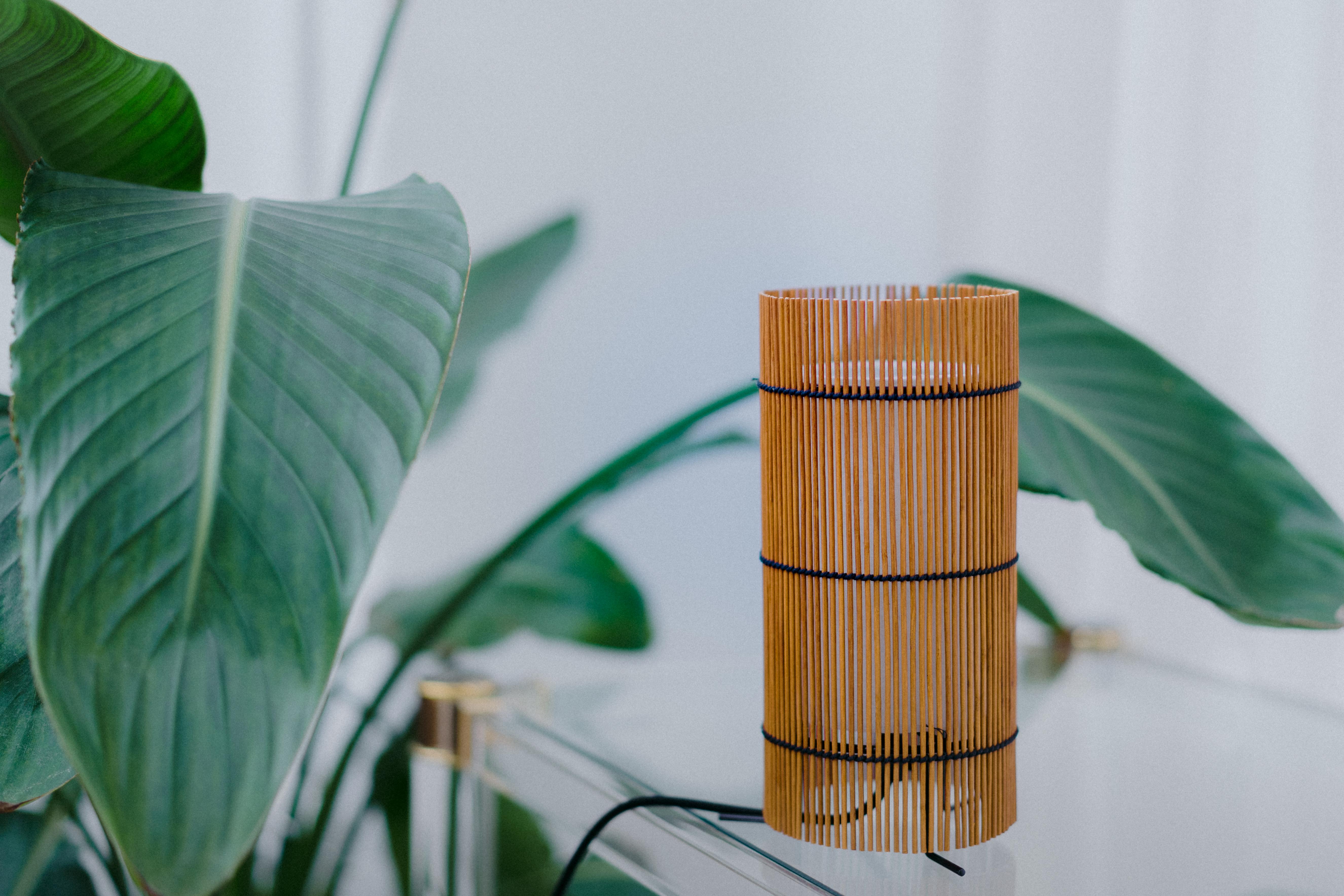 Contemporary, Handmade Table Lamp, Bamboo Cherry, by Mediterranean ...