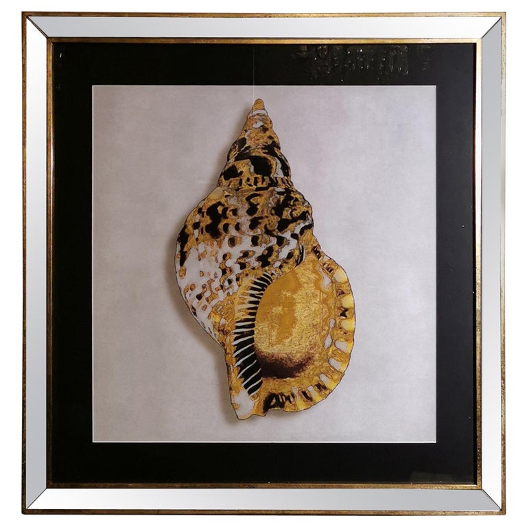 Contemporary Italian Golden Shell Print, Gilded Wood Frame with Mirror ...