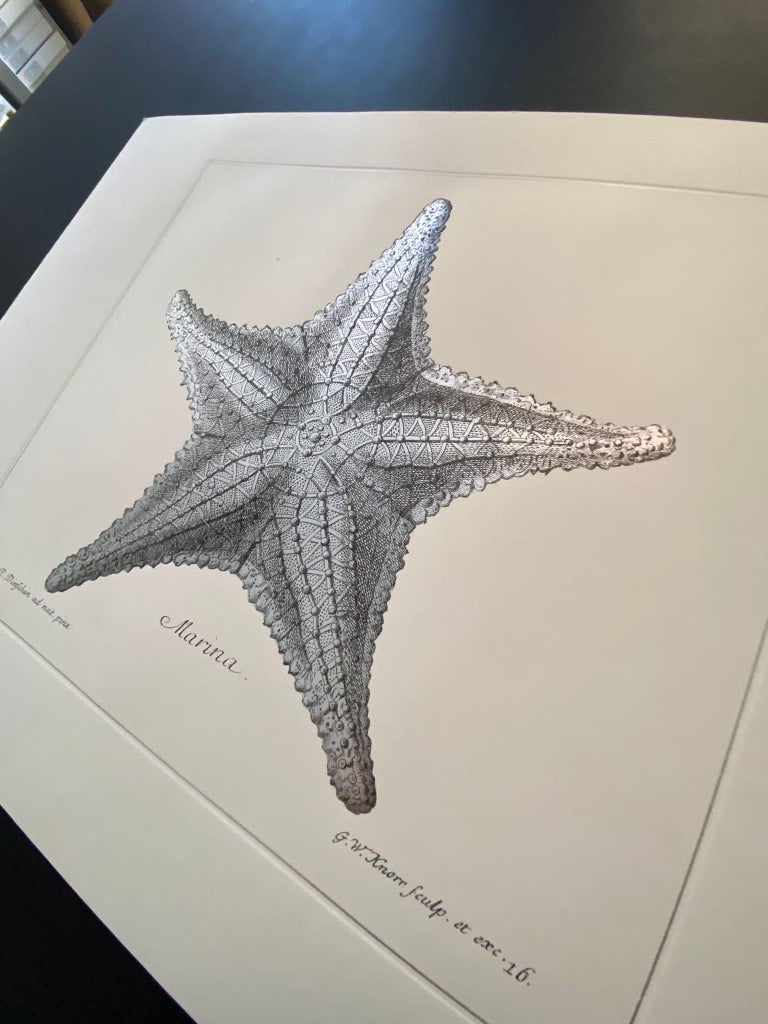 Contemporary Italian "Marina" Print Press Engraving on Pure Silver Leaf ...