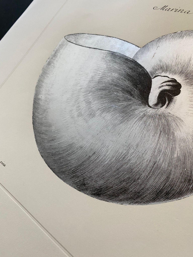 Contemporary Italian "Marina" Print Press Engraving on Pure Silver Leaf ...