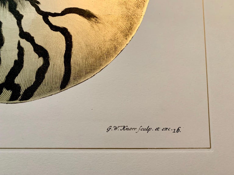Contemporary Italian "Marina" Print with Press Engraving on Pure Gold ...