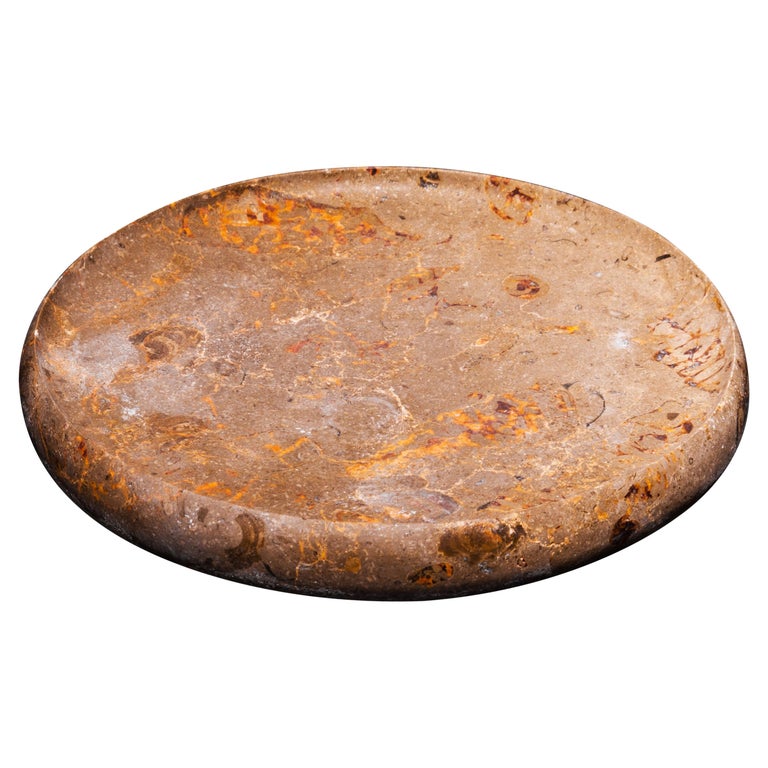 Aina Contemporary Jurassic Fossil Marble Aqua Plate for Ricard Camarena ...