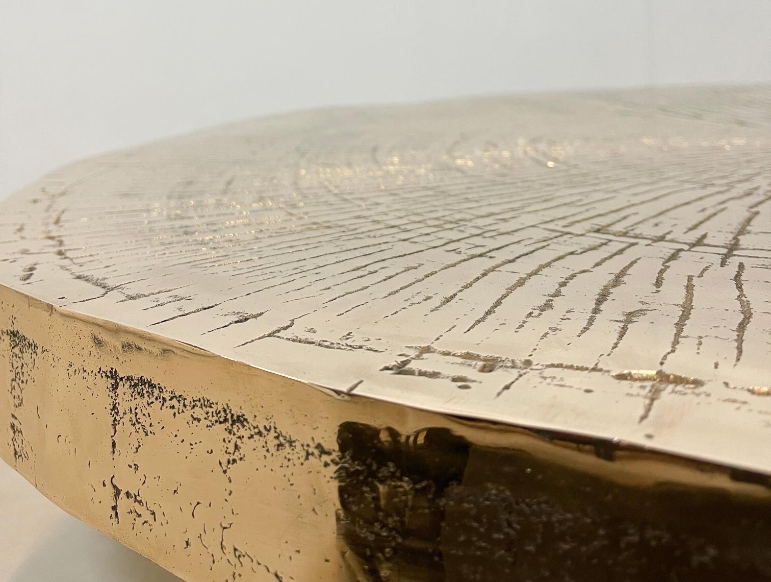 Contemporary Large Bronze Coffee Table, Belgium For Sale at 1stDibs