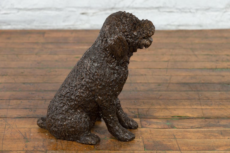 Contemporary Lost Wax Bronze Statue of Max the Labradoodle with Dark ...