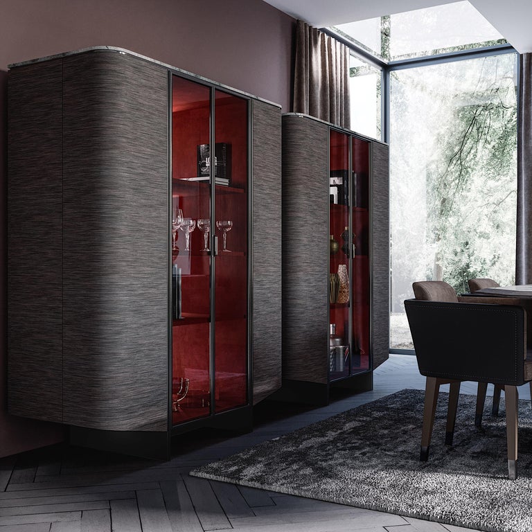 Contemporary high storage unit, velvet interior, led light and glass ...