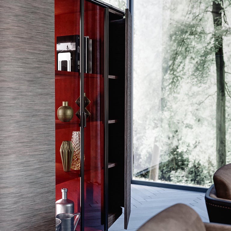Contemporary high storage unit, velvet interior, led light and glass ...