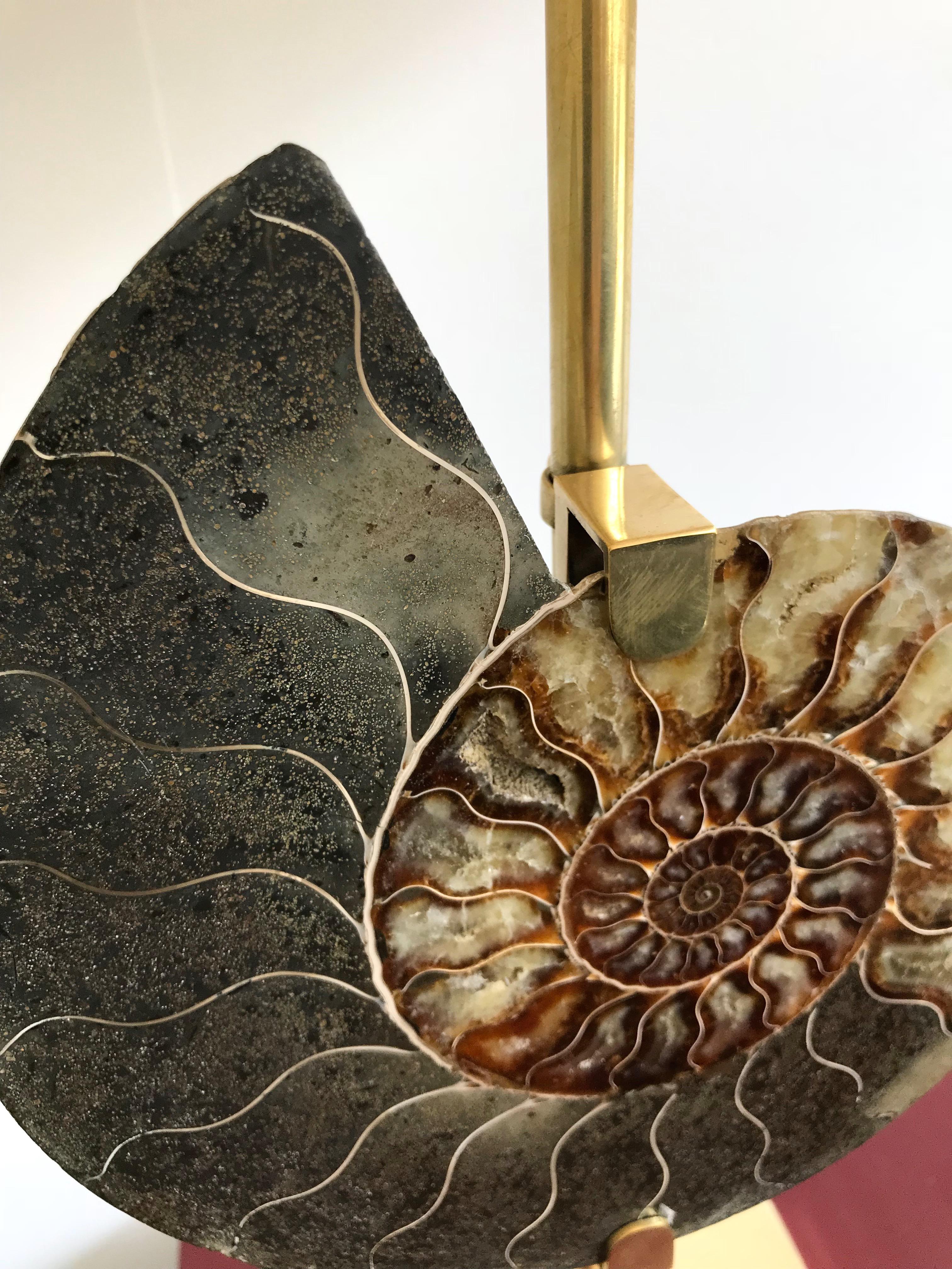 Contemporary Pair of Brass Lamps Ammonite Fossil, Italy at 1stDibs