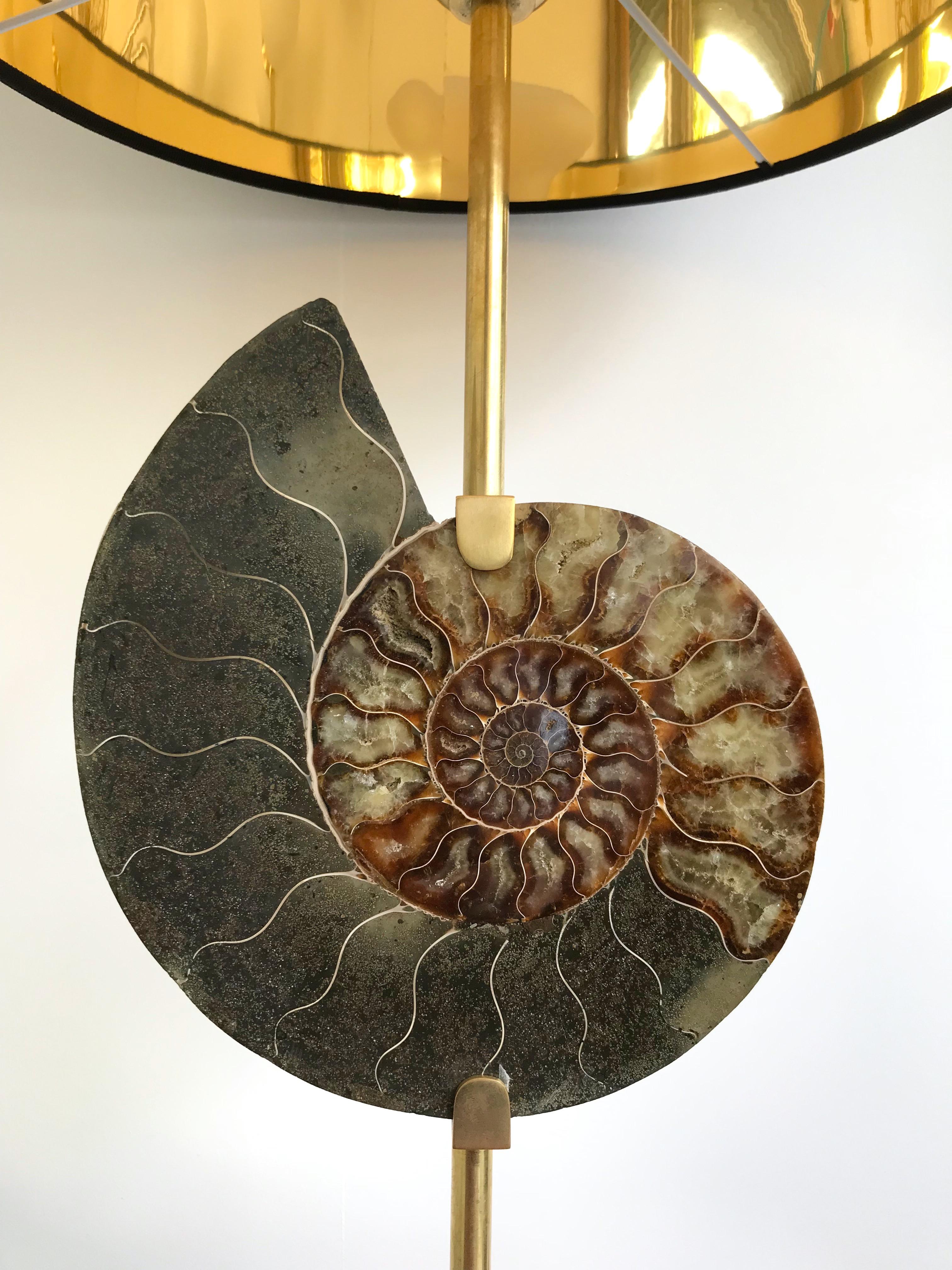 Contemporary Pair of Brass Lamps Ammonite Fossil, Italy at 1stDibs