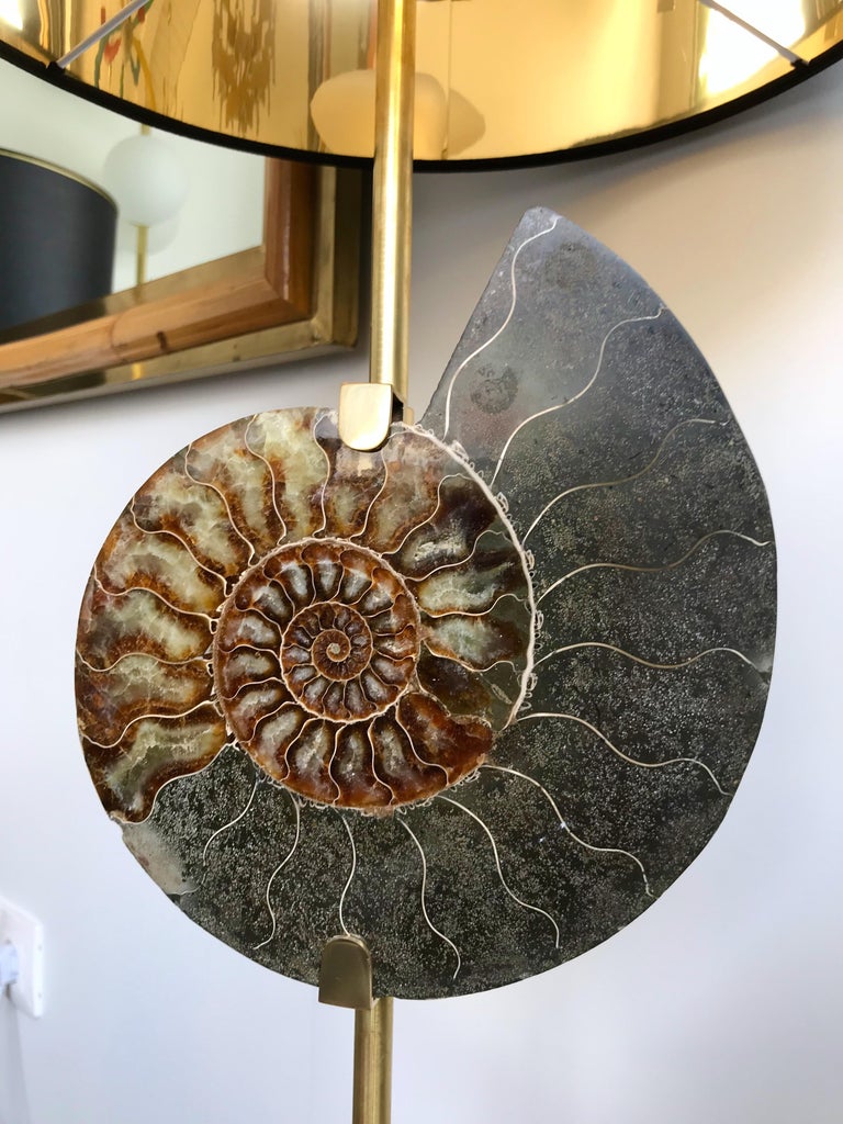 Contemporary Pair of Brass Lamps Ammonite Fossil, Italy at 1stDibs