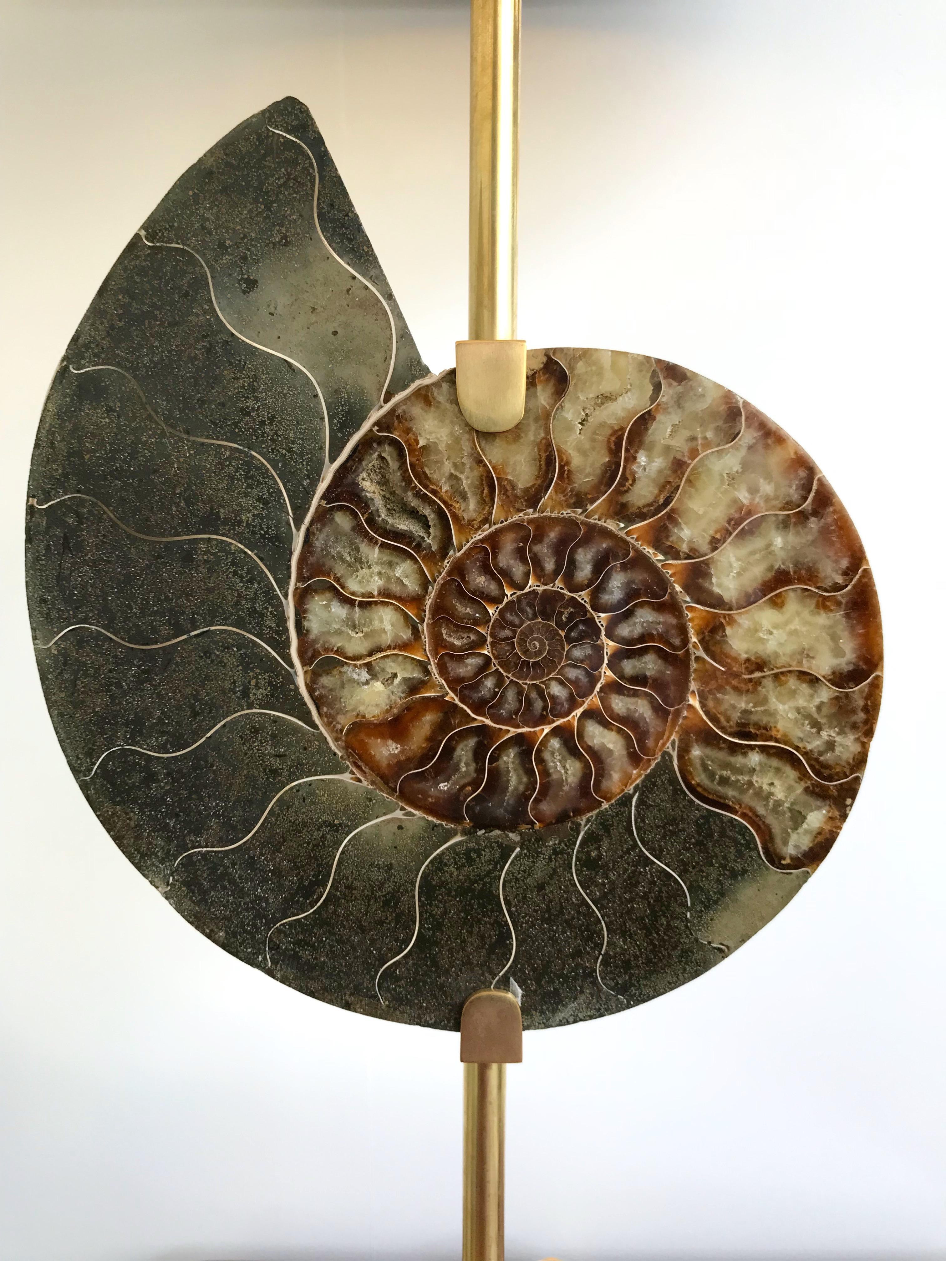 Contemporary Pair of Brass Lamps Ammonite Fossil, Italy at 1stDibs