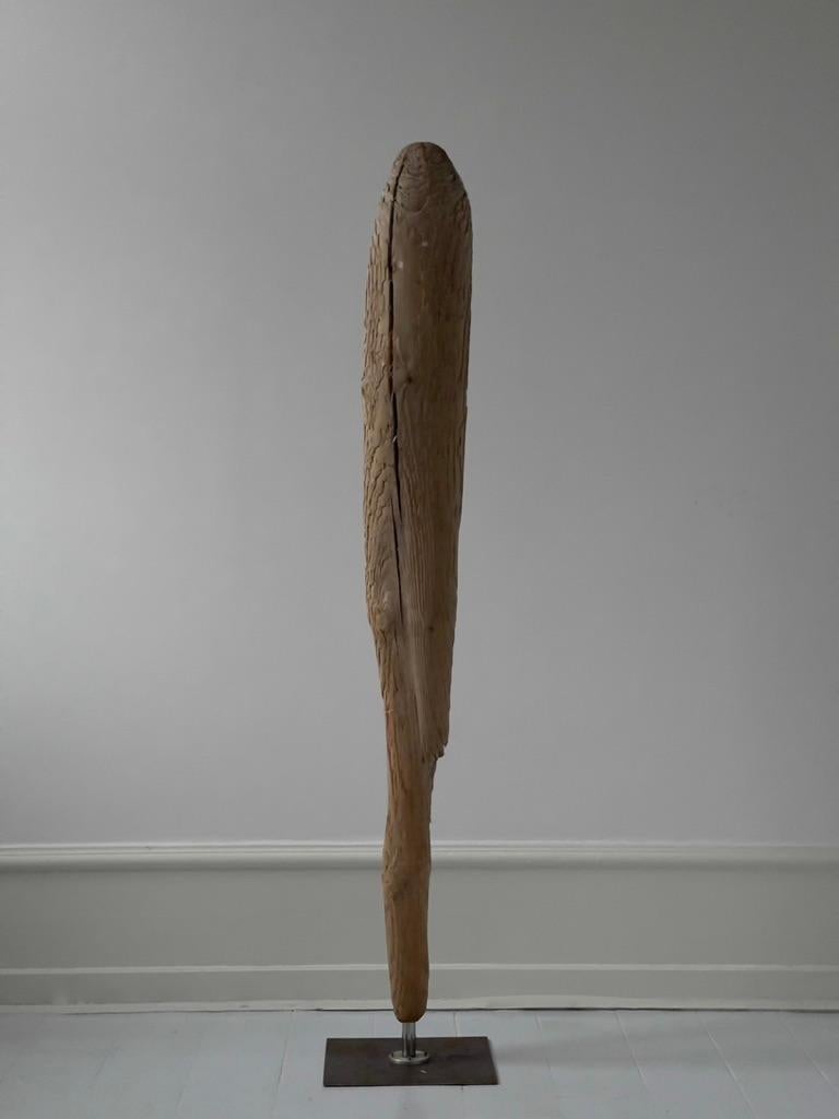 Contemporary Sculpture. Drift timber and metal stand. For Sale at 1stDibs