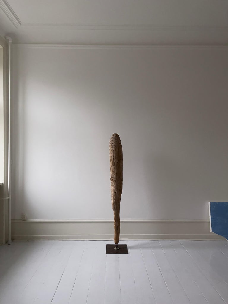Contemporary Sculpture. Drift timber and metal stand. For Sale at 1stDibs