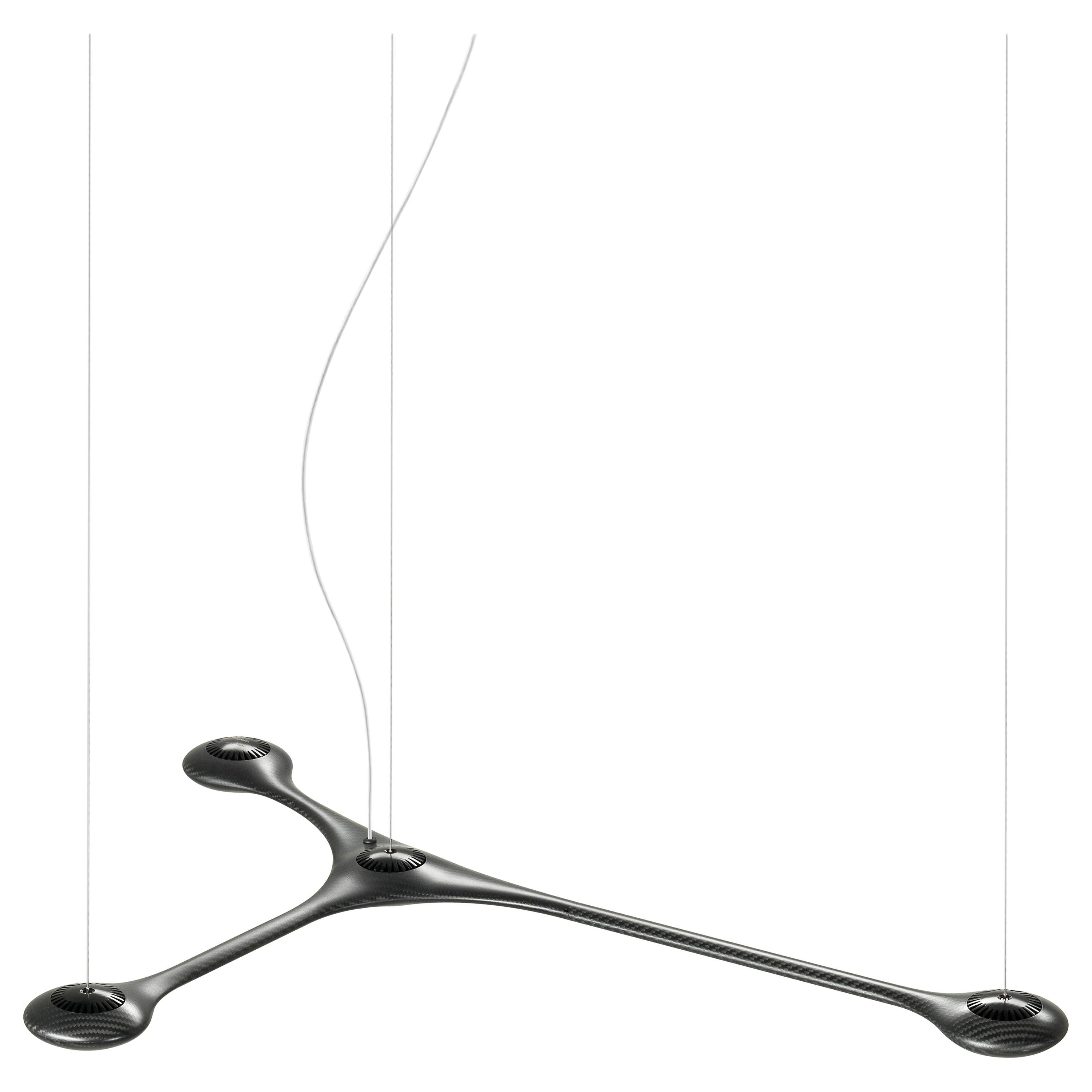 CARB-05 Carbon Ceiling Light by Tokio For Sale at 1stDibs