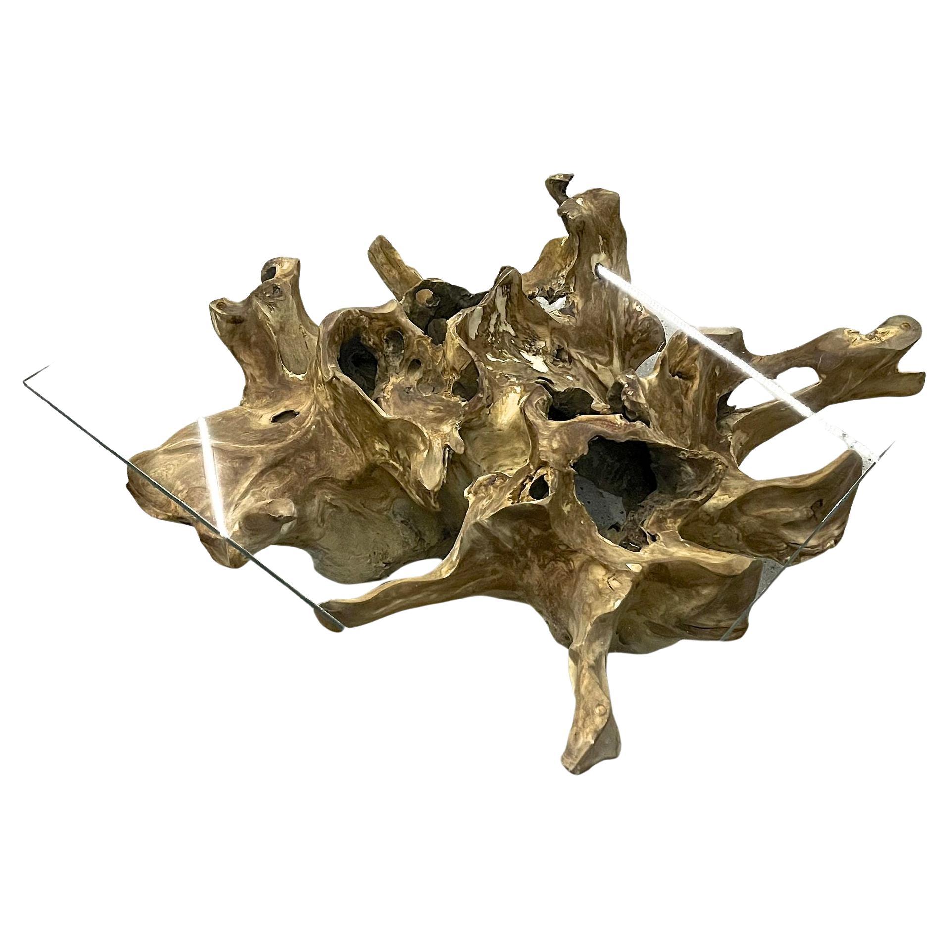 Contemporary Teak Root Sofa Table/ Coffee Table - Modern Organic, IDN ...