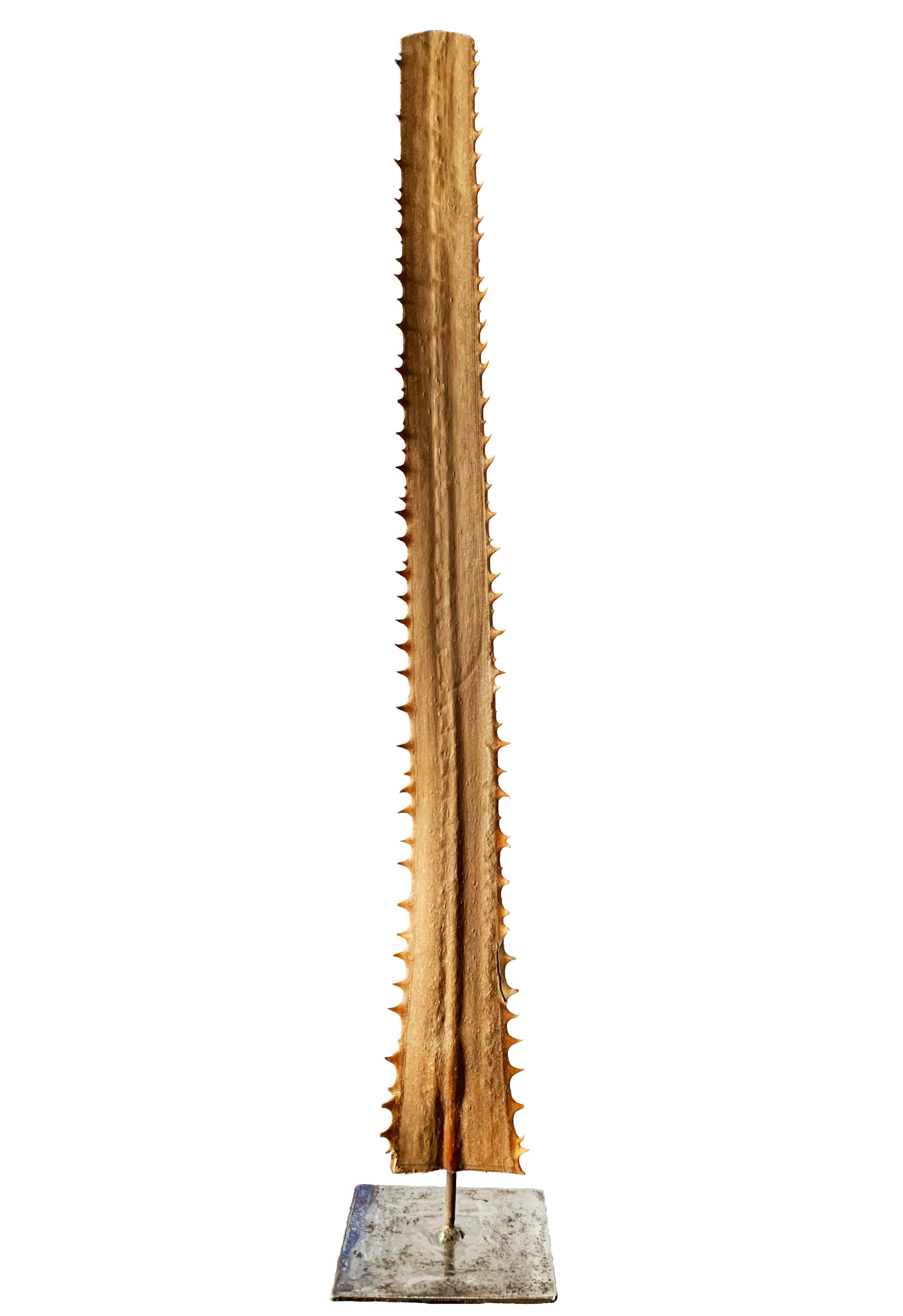 Vegetal Saw Fish For Sale at 1stDibs | sawbill shark