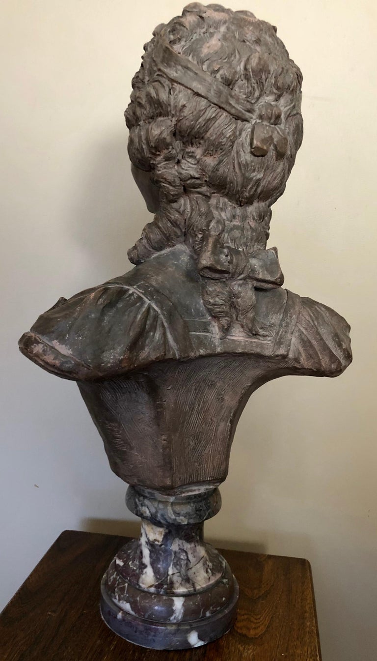Continental Terracotta Bust of a Woman on Marble Base For Sale at 1stDibs
