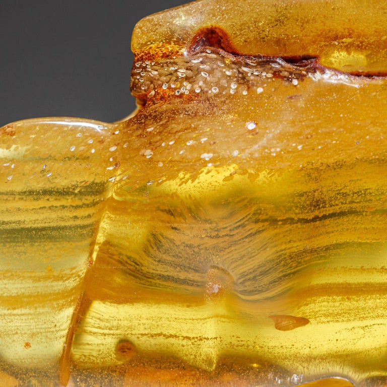 Copal Amber from Colombia '1.6 Lbs' For Sale at 1stDibs