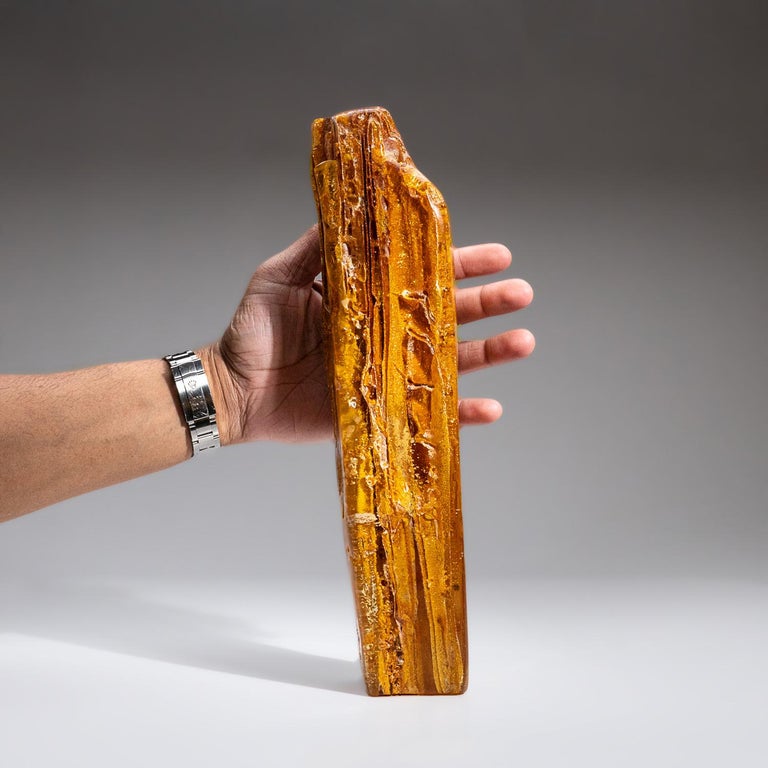 Copal Amber from Colombia '2.1 Lbs' For Sale at 1stDibs