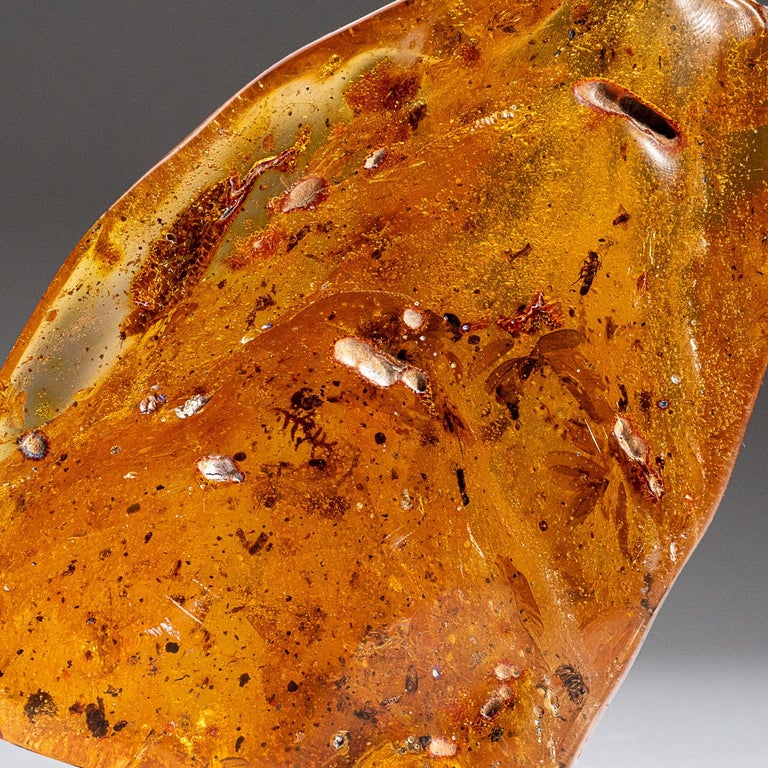 Copal Amber from Colombia '303.6 grams' For Sale at 1stDibs